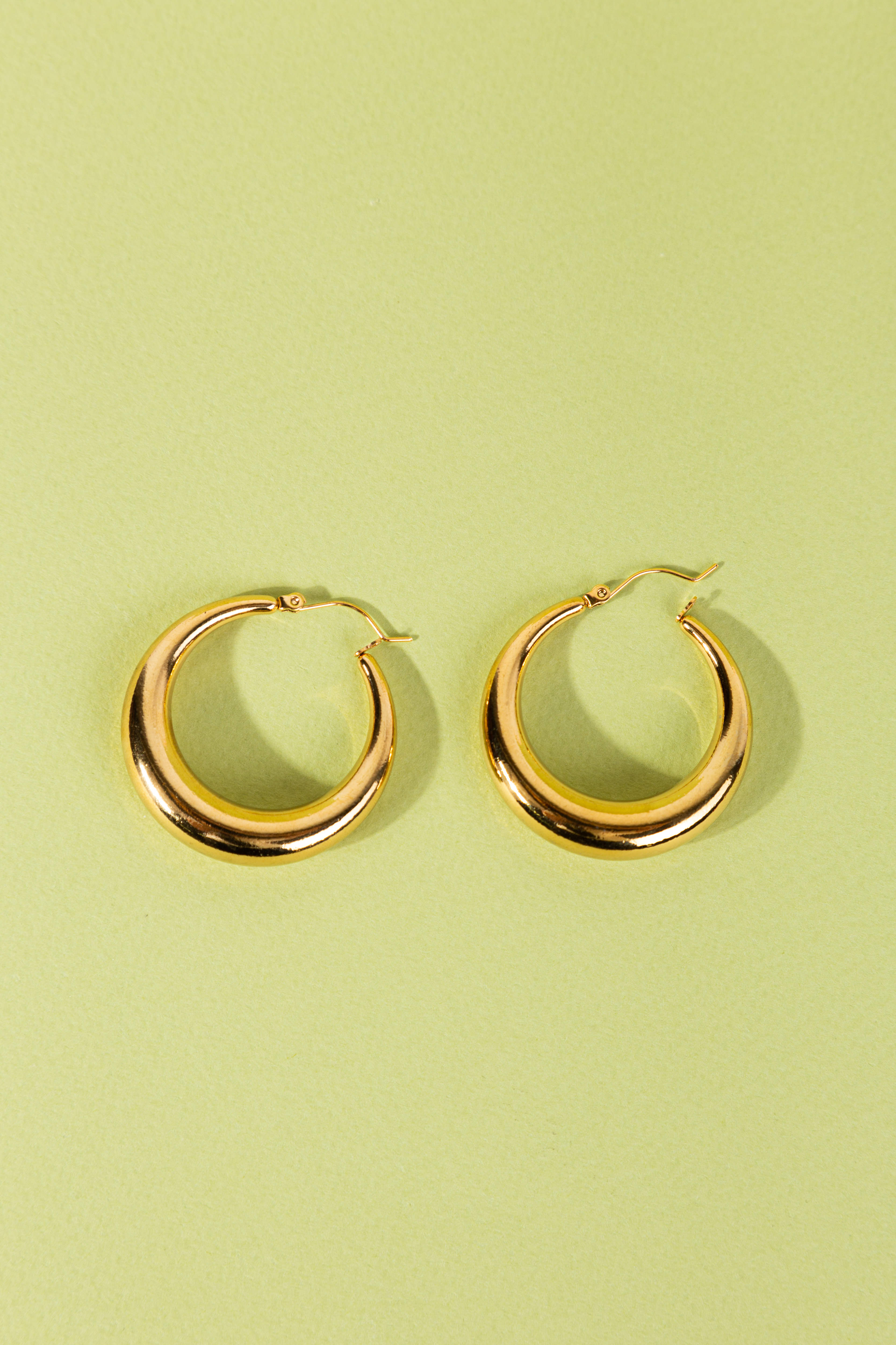 Сережки кільця SER-DM-20069-20 купити в інтернет-магазині Famo.ua